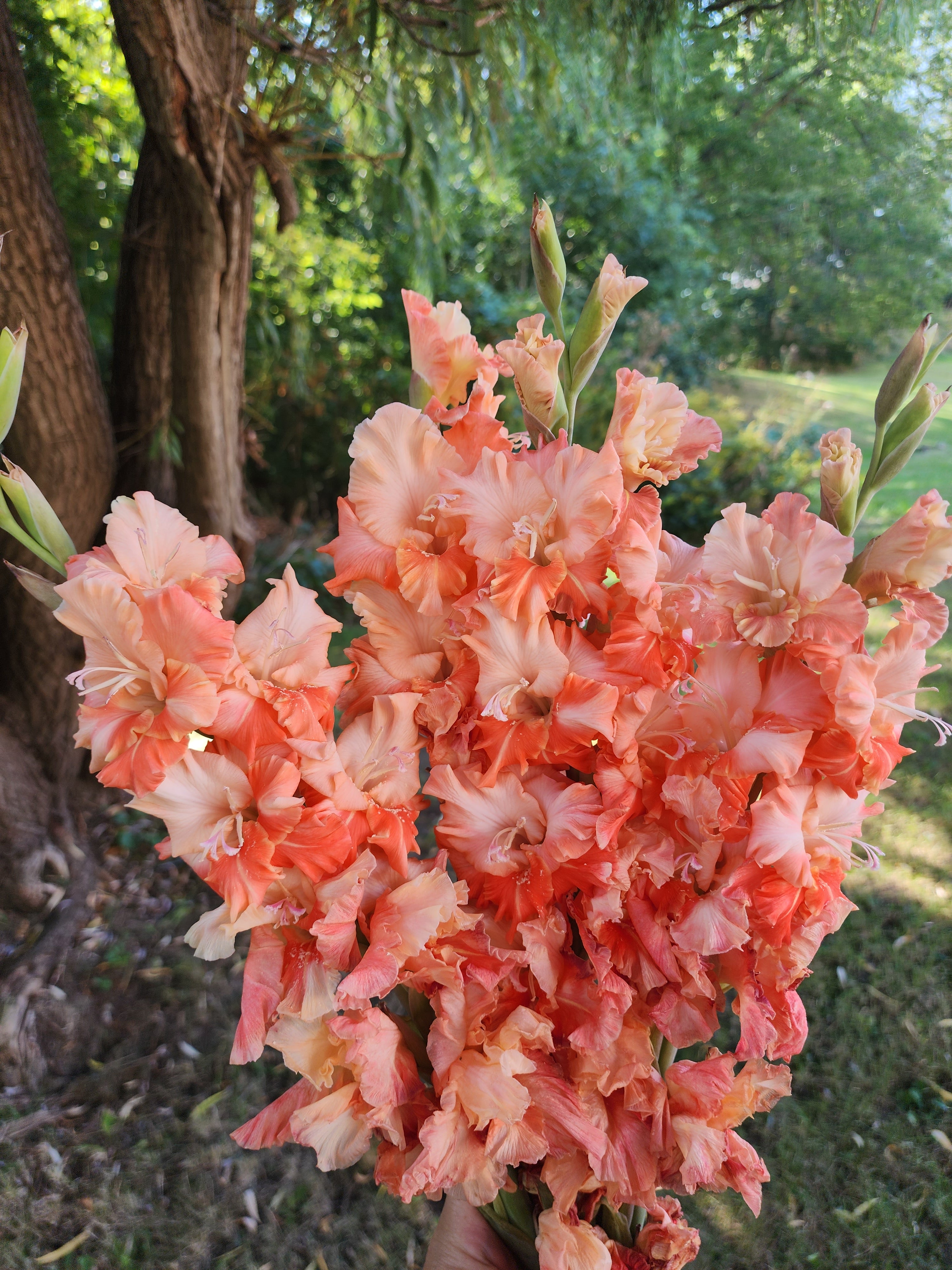 Products – Gone Gardening with Leah