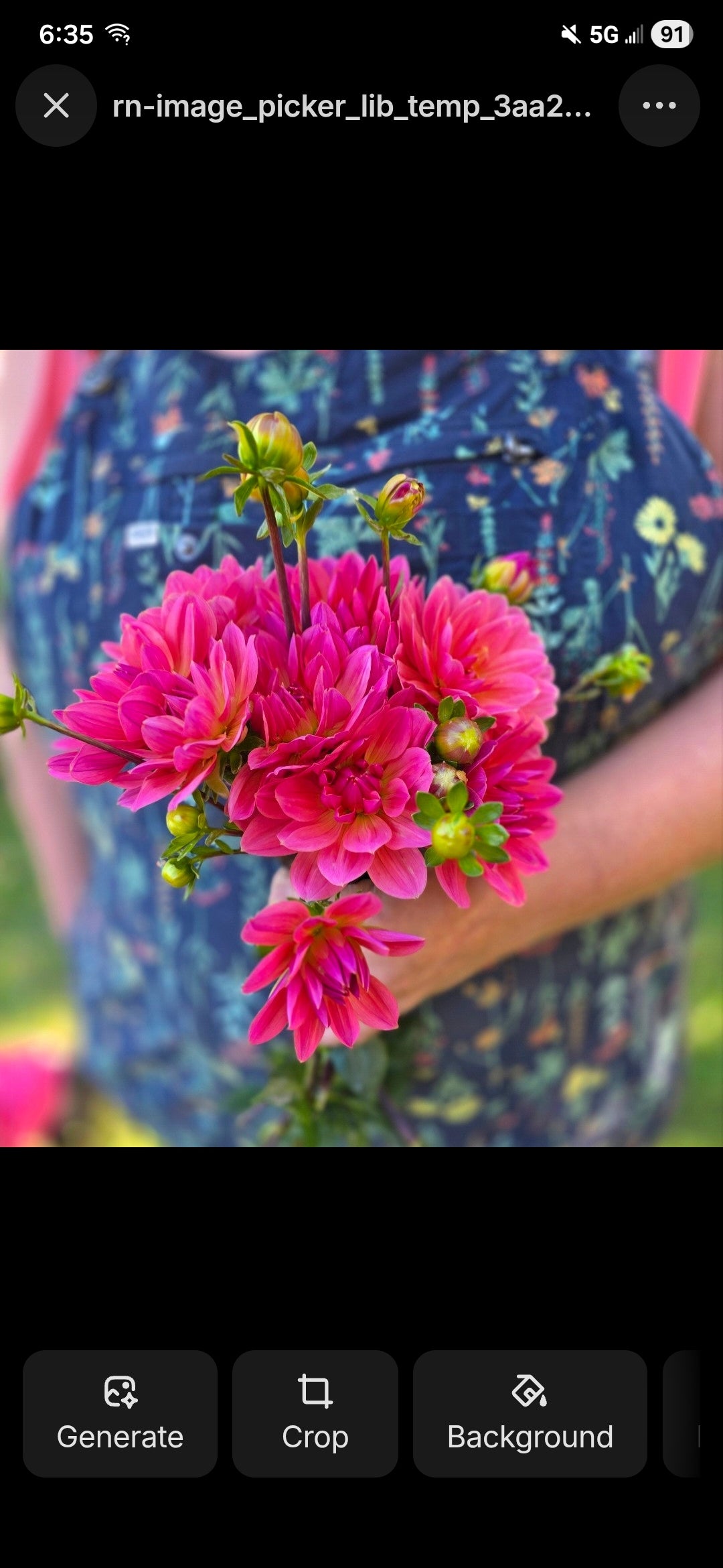 (Copy) Canada Only Spring Shipped SB's KA'S Choice (1 cutting) – Gone ...